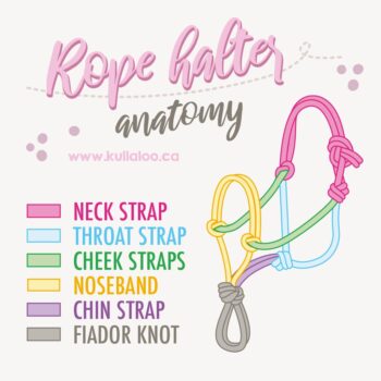 How to tie a halter with rope for a Hobby Horse (tutorial incl. video ...